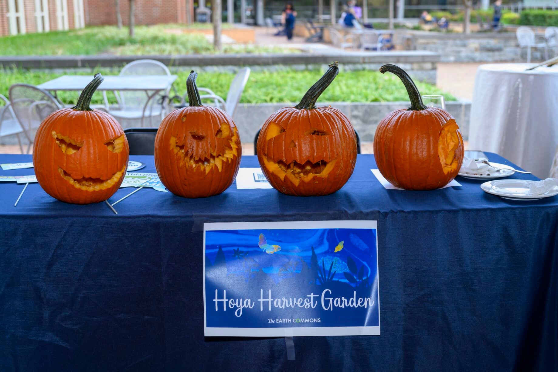 Hoya Harvest Festival | The Earth Commons | Georgetown University