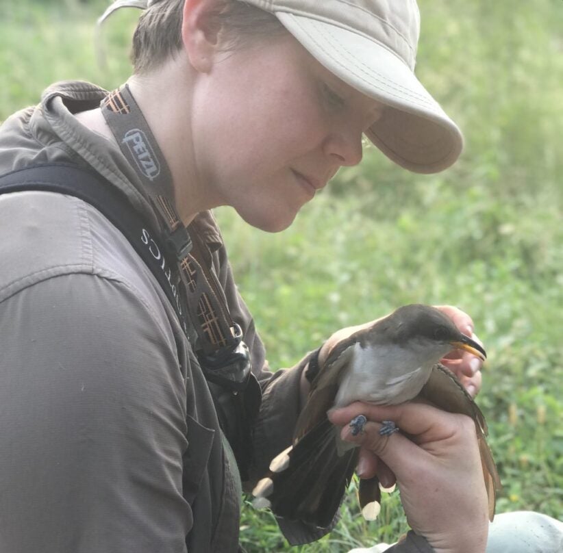 Fellows | The Earth Commons | Georgetown University