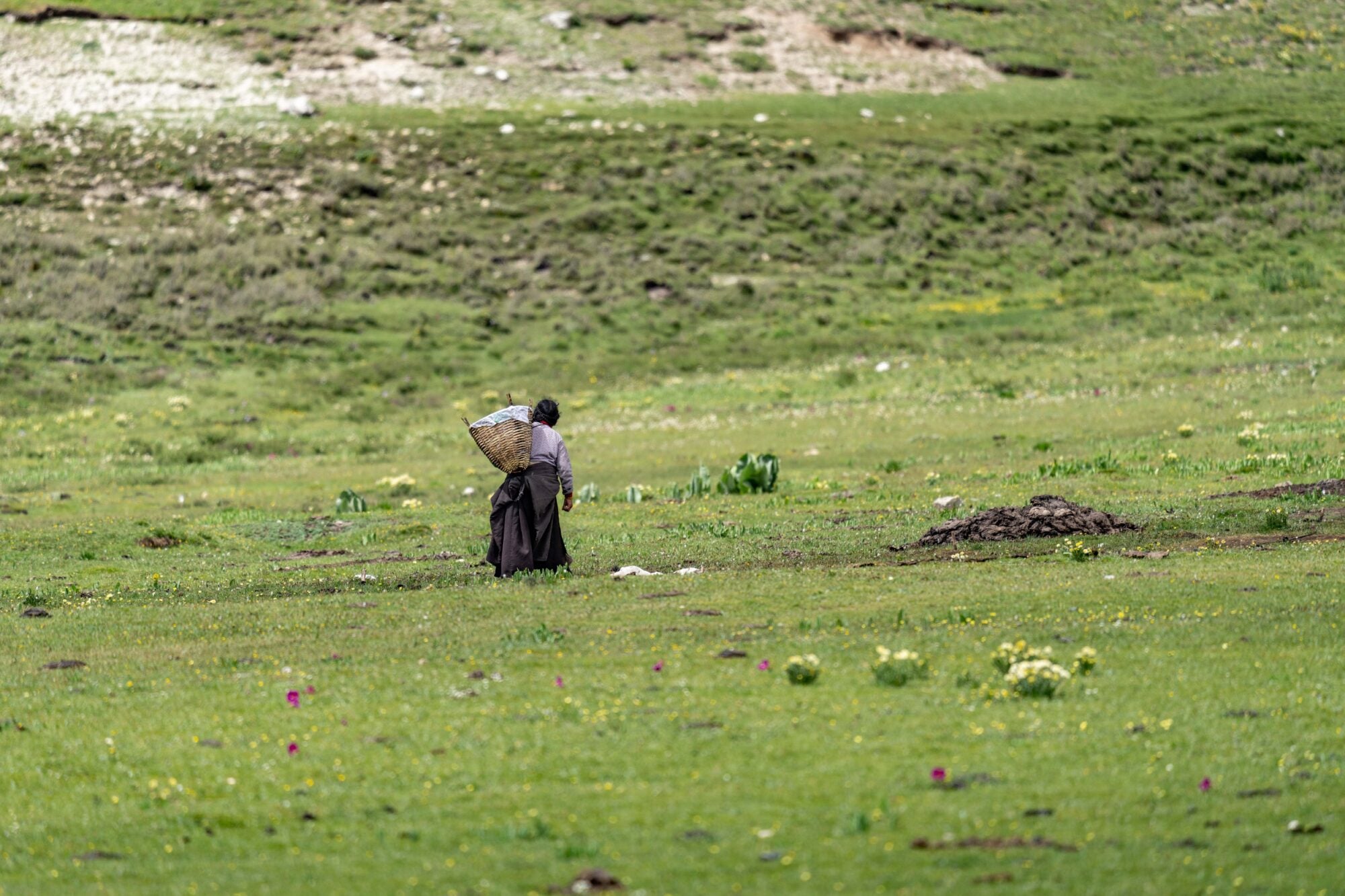 Common Home Arts Showcase | The Earth Commons | Georgetown University