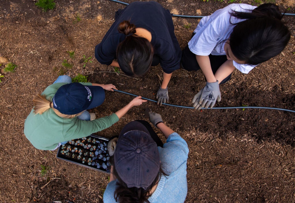 About Us | The Earth Commons | Georgetown University