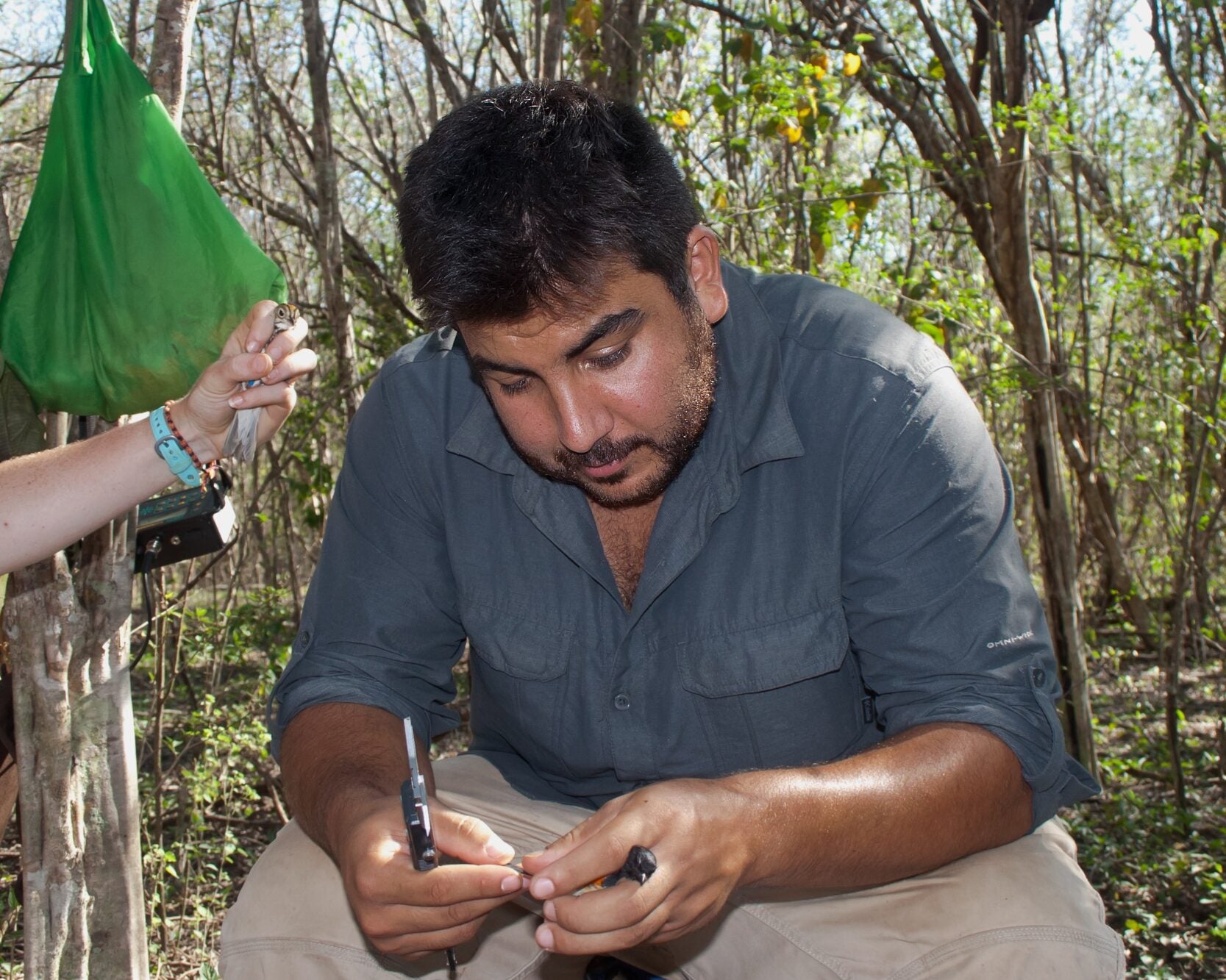 Fellows | The Earth Commons | Georgetown University