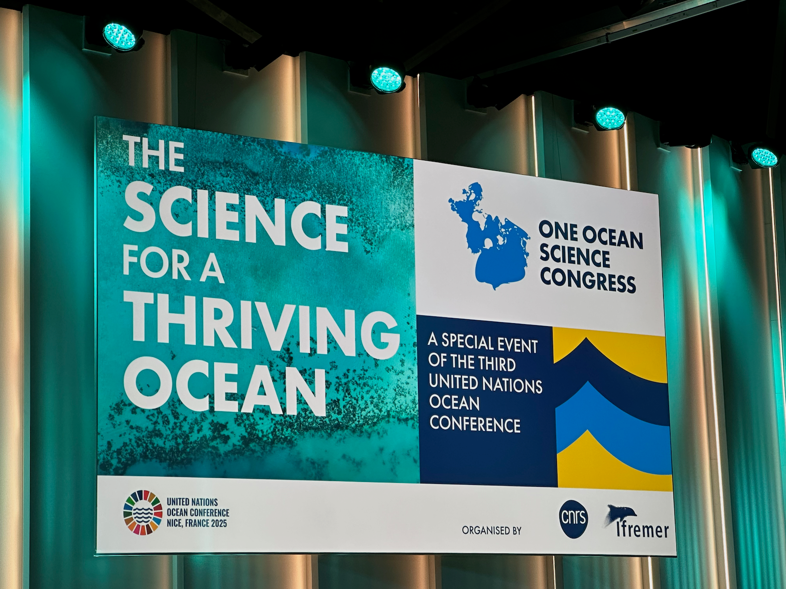 The UN Decade of Ocean Science for Our Blue Planet | The Earth Commons ...